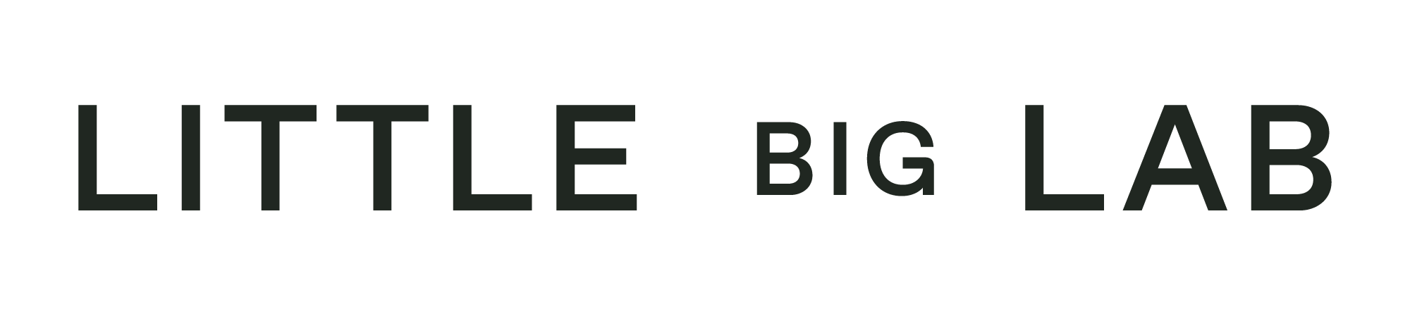 Individuální nabídka – LITLLE BIG LAB